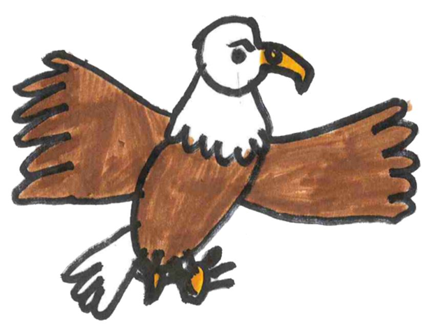 Falcon Class (Year 6) - Mersham Primary School