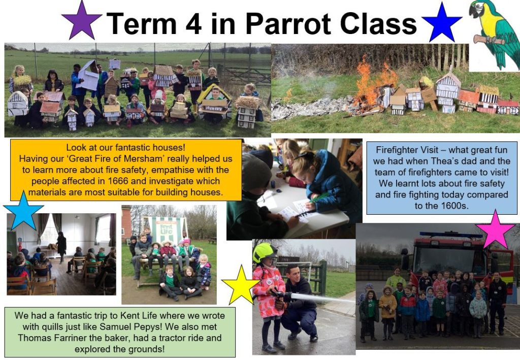 Parrot Class (Year 2) - Mersham Primary School